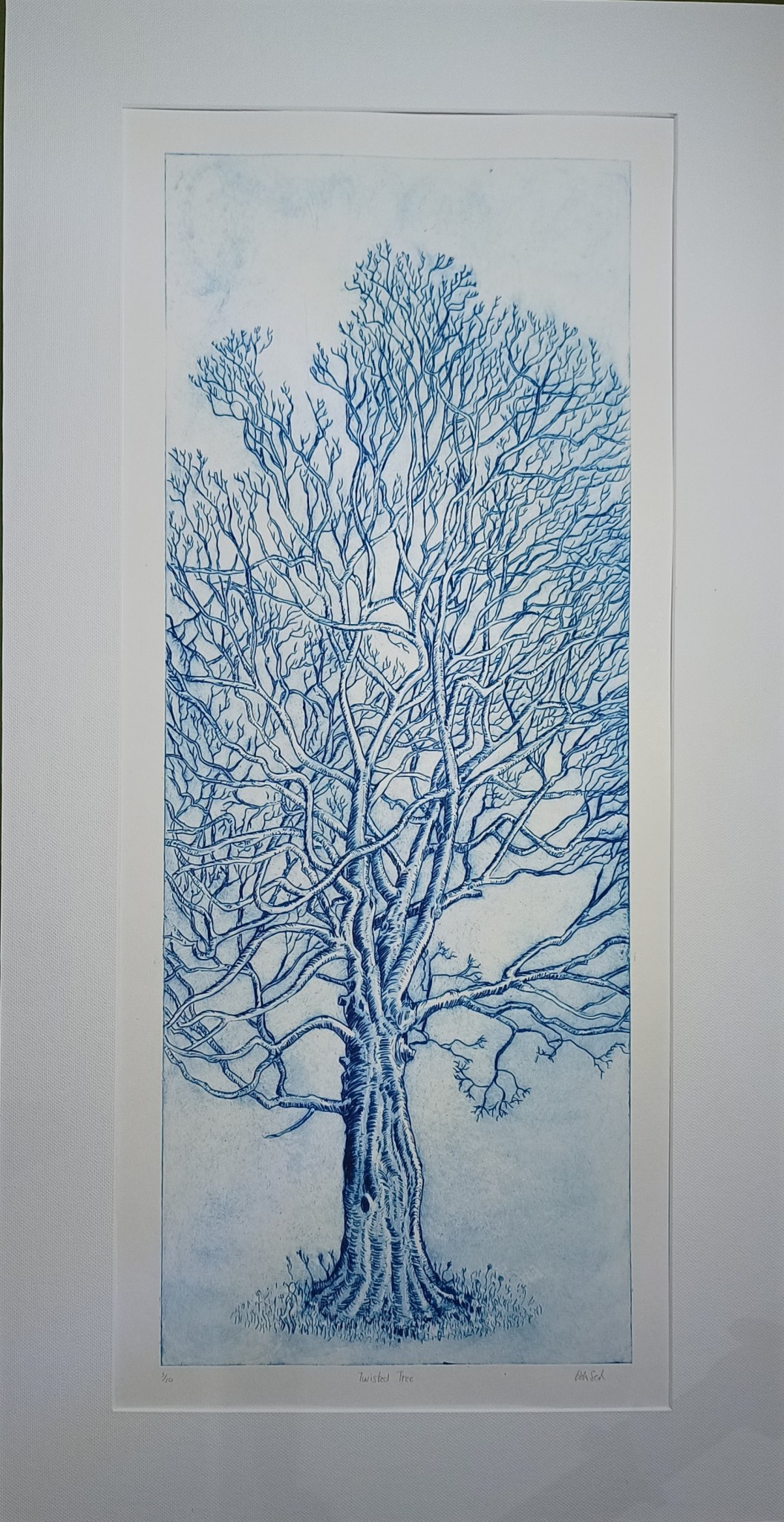 Trees Drypoint Engraving – Artist and Print-maker