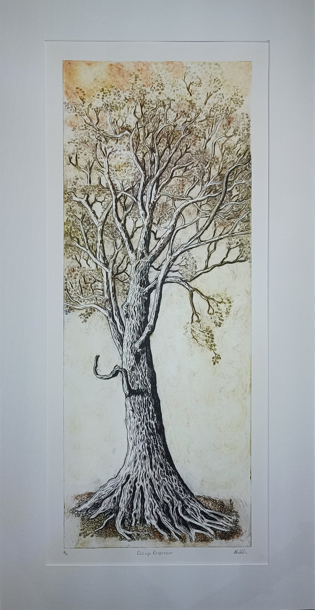 Trees Drypoint Engraving – Artist and Print-maker