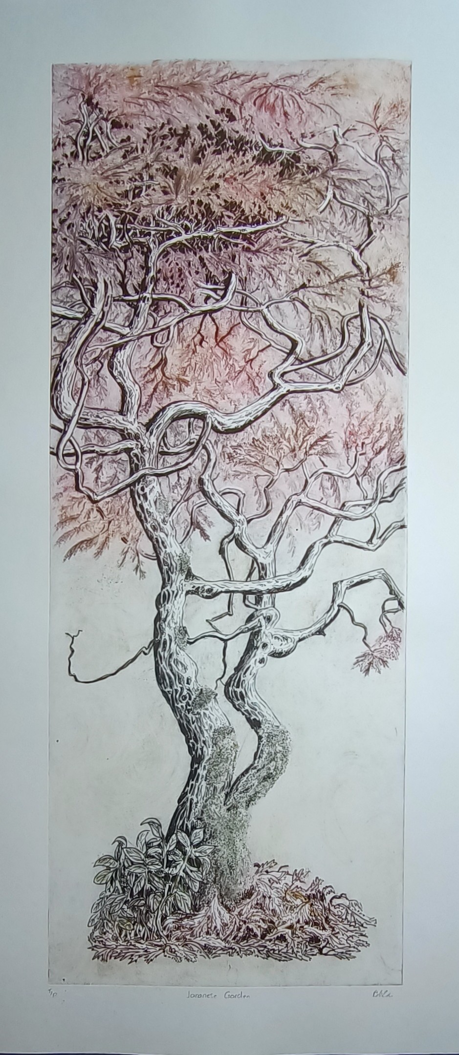 Trees Drypoint Engraving – Artist and Print-maker