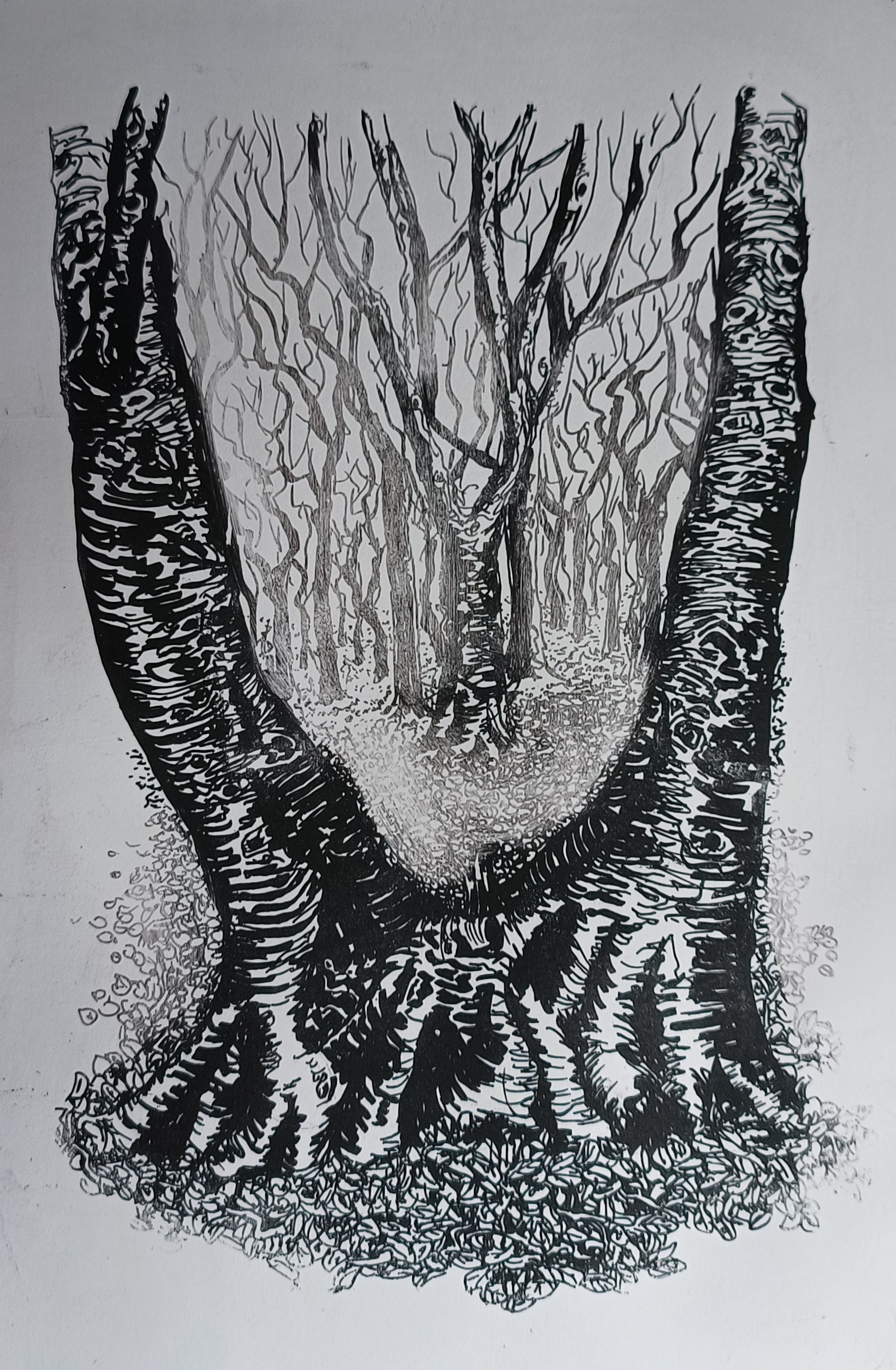 Kitchen Litho – Artist and Print-maker