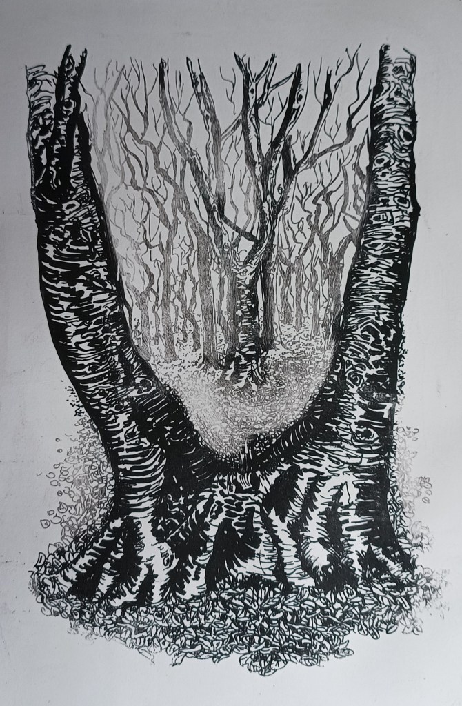 Kitchen Litho – Artist and Print-maker