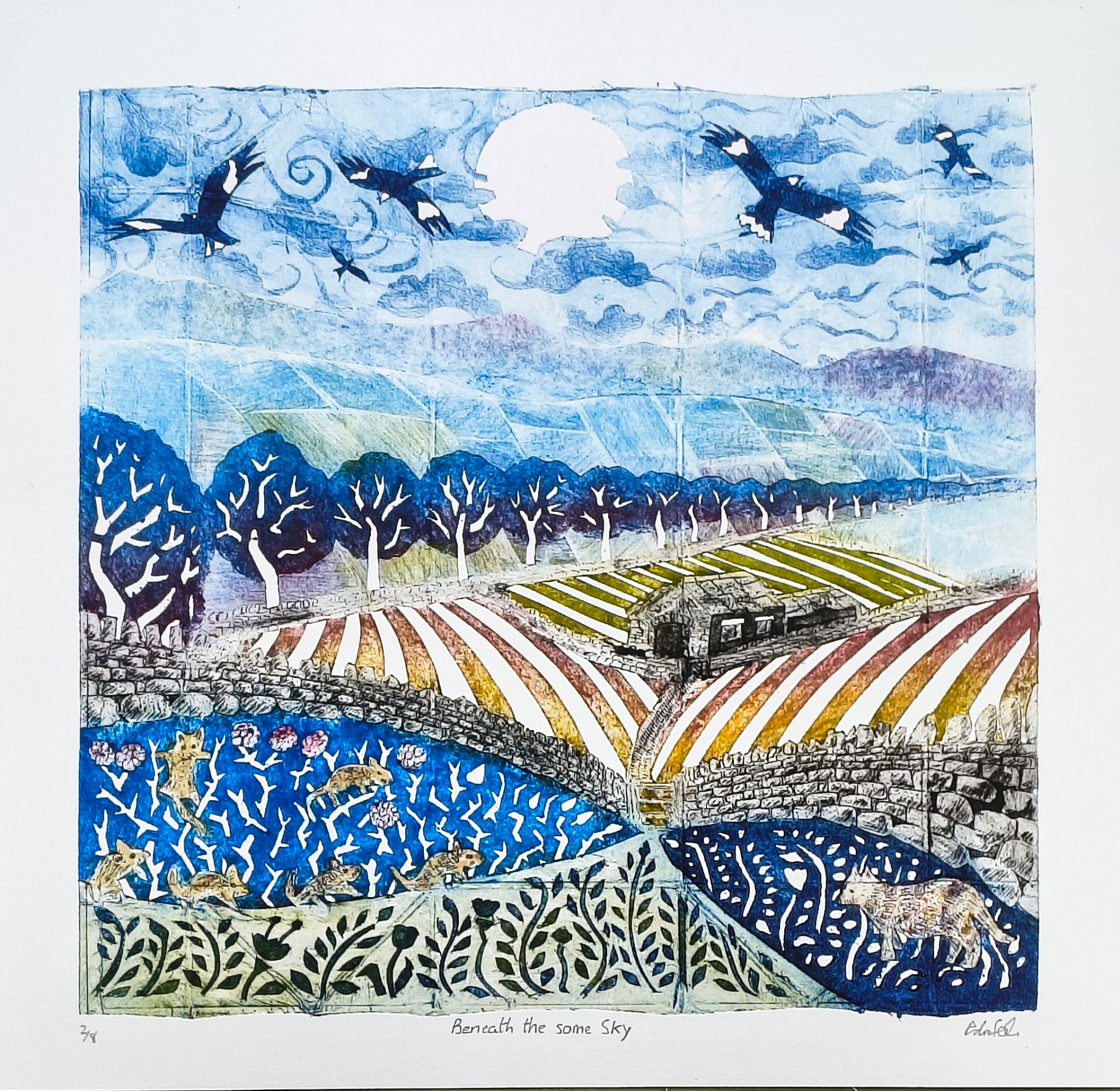 Landscape and Nature Tetrapak and intaglio – Artist and Print-maker