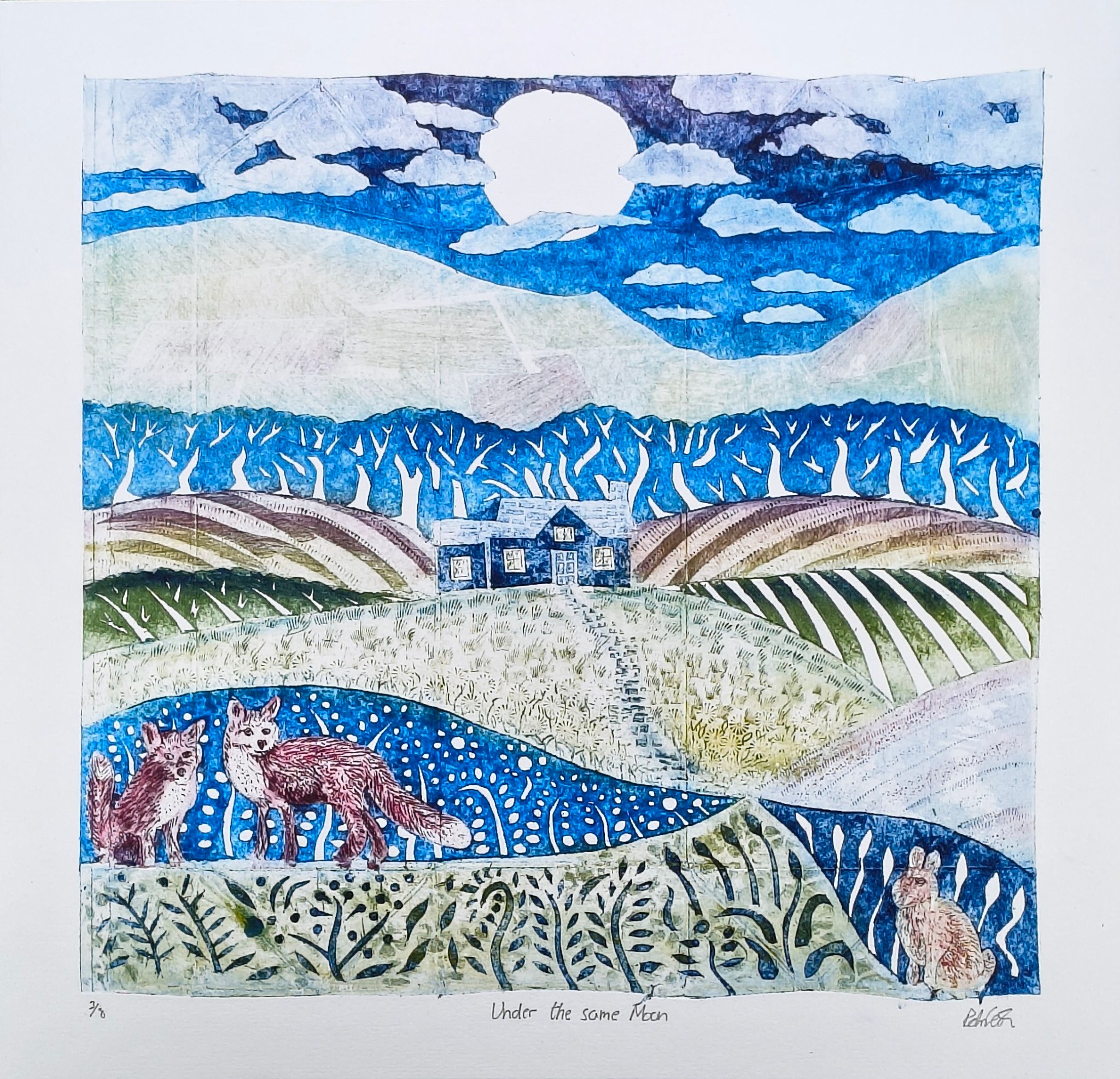 Landscape and Nature Tetrapak and intaglio – Artist and Print-maker